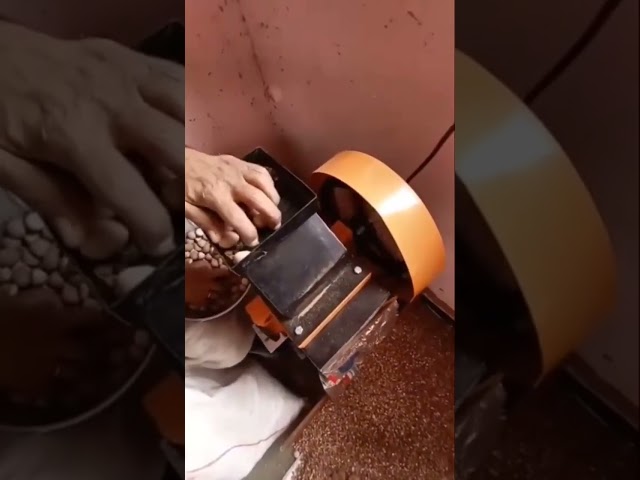 Diamond Supari Cutting Machine Trader - Retailer from Cuttack