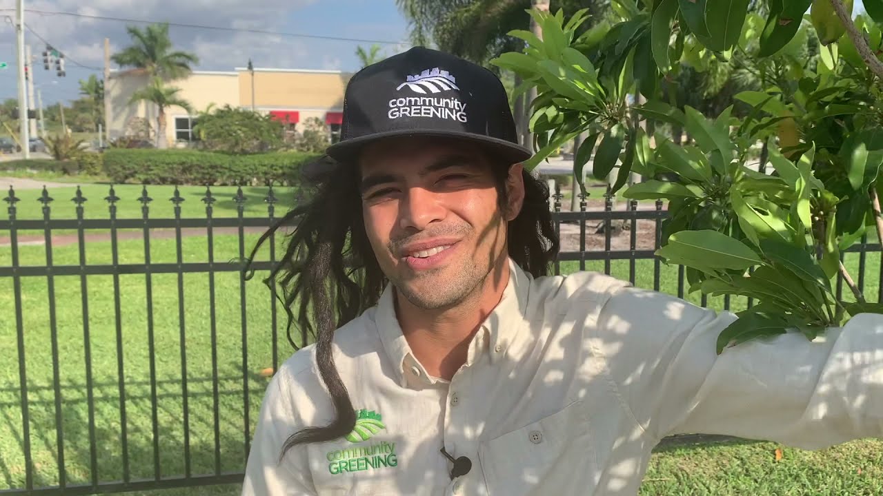 See what our Urban Orchards are all about