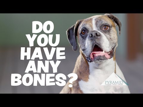 Broadcast Media TV Spot | Pyramid Federal Credit Union