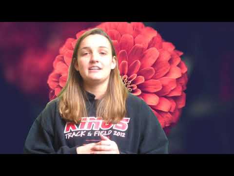 Green Screen – Annie Dean