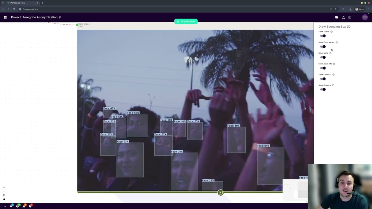 How to Anonymize Your Video & Run Object Detection CV Models in the Browser (RTDETRv2, YOLO)
