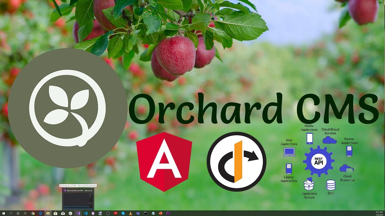 Orchard Core OpenID Connect Code Flow API Authorization with an Angular Client CRUD Application