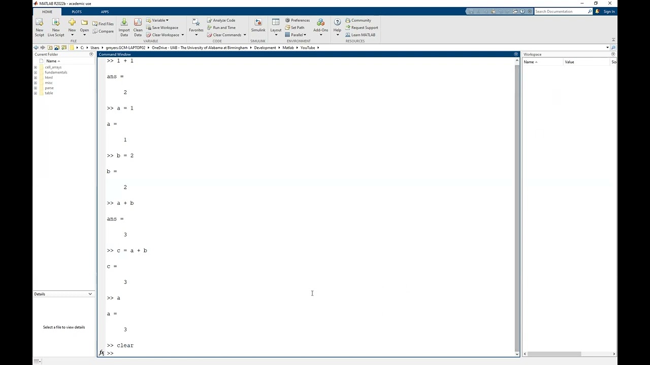Matlab Environment #1 (Overview)