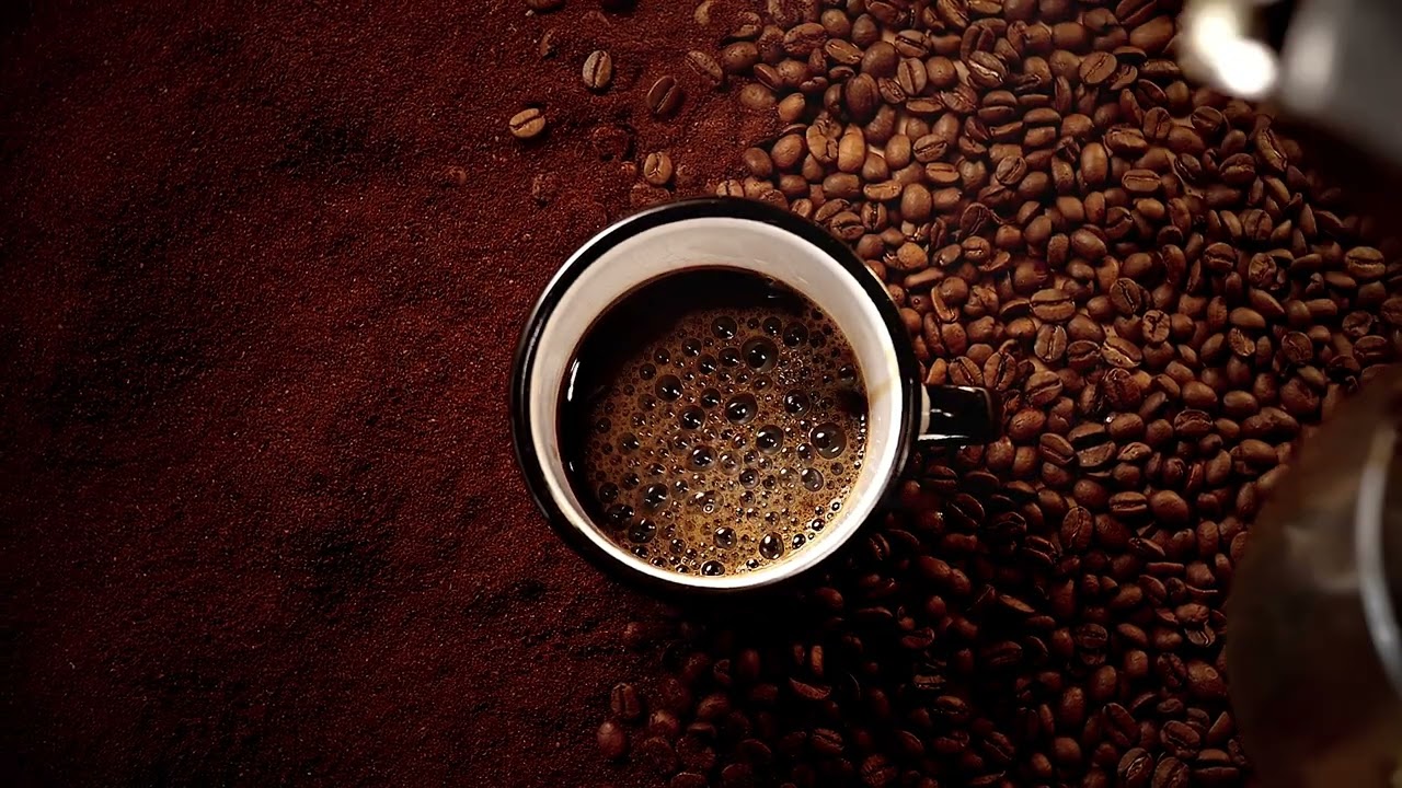 Best Fresh Roasted Coffee | Arabica Coffee Beans For Sale, Minnesota, USA