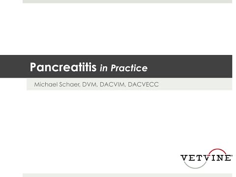 Pancreatitis in a Dog - Case-based learning