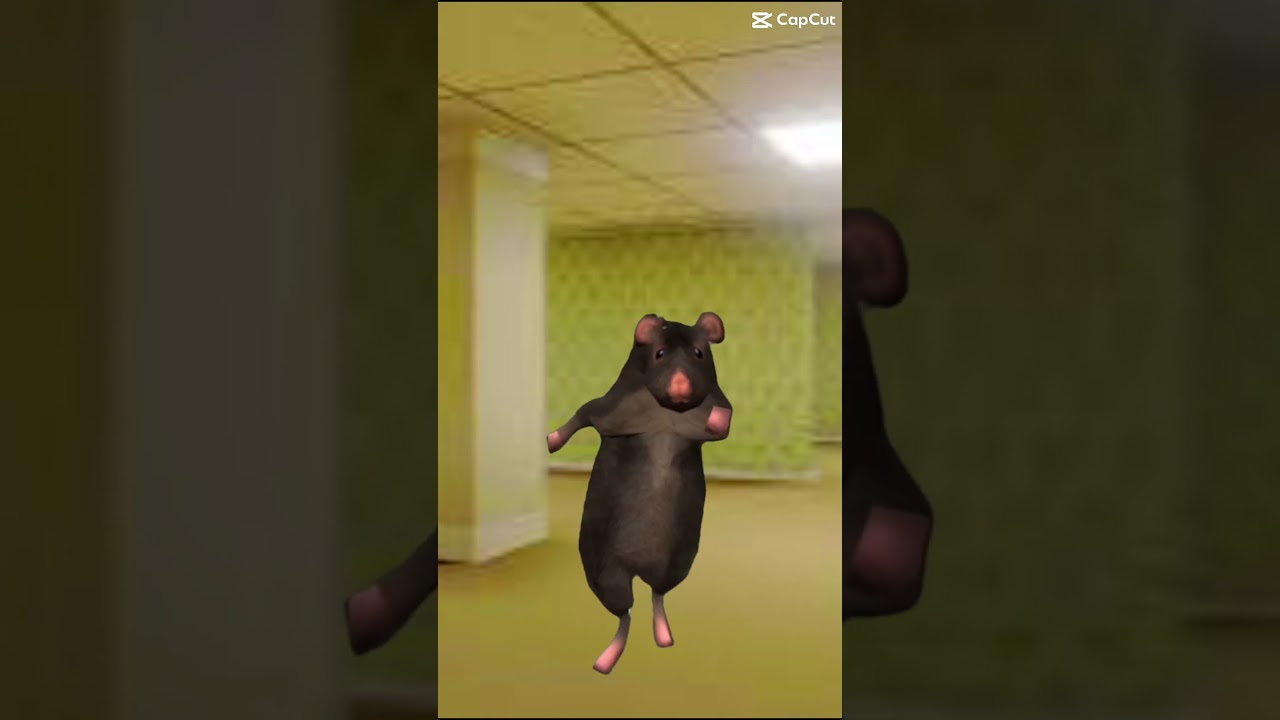 Chess (type beat) rat dance