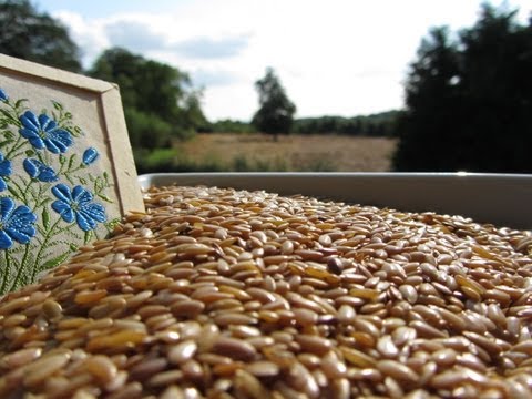 What is Linseed Oil - Rich in Omega 3 & What Oils to Avoid & only fry or roast with saturated fat