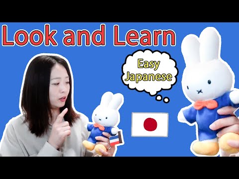 🇯🇵👩🏻🏫Complete Beginner Japanese - Miffy🐰💕(Comprehensible Input)