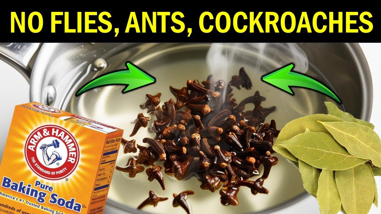 Spray THIS at Home, and Watch Insects Disappear! DIY Clove & Baking Soda Pest Control Spray