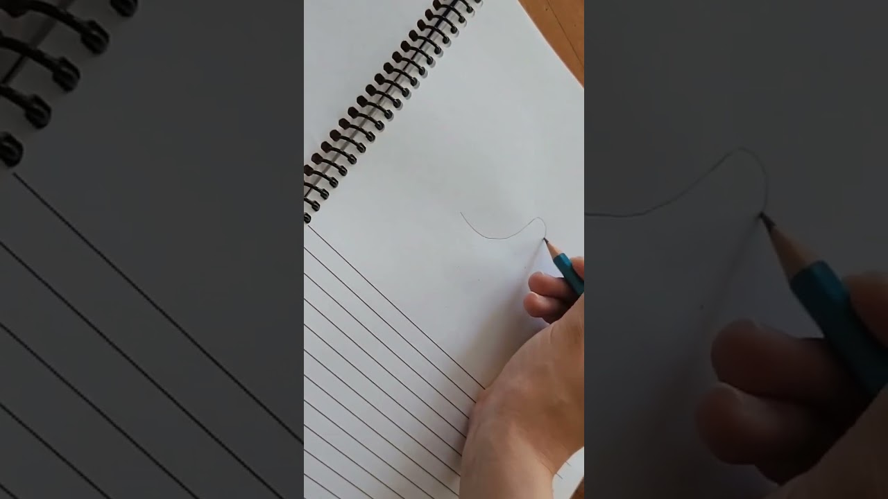 Deer drawing #hunting #deer #drawing #art