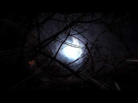 Spider makes web. 3D Animation + compositing with live video.