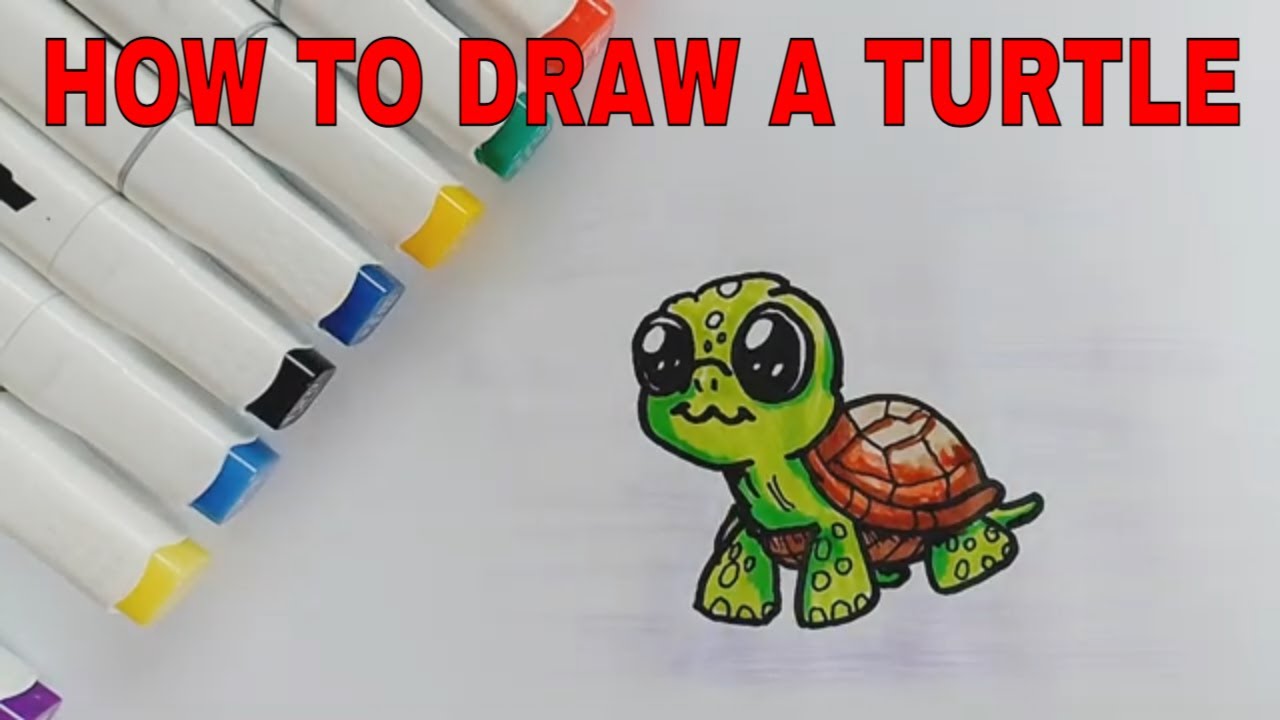 cute turtle drawing easy step by step