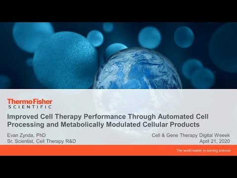 Improved T Cell Function Through Metabolic Modulation| Gibco