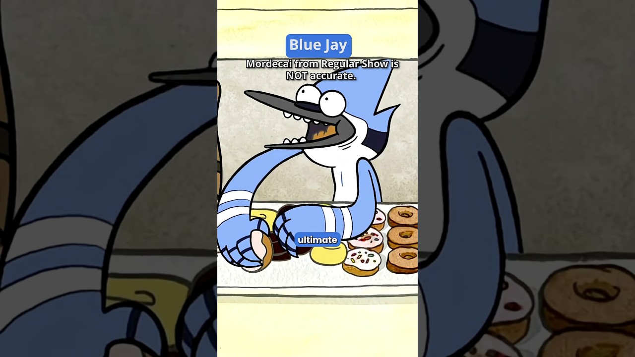 Mordecai Is a Lie! The REAL Blue Jay Is a Savage Genius 🐦🧠💥