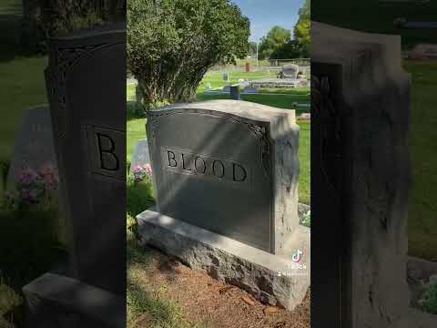 Interesting last name #paranormal #weird #cemetery #strangerthings #tiktok