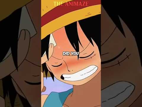 The One Piece Is NOT Real!