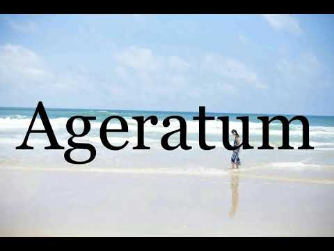 How To Pronounce Ageratum🌈🌈🌈🌈🌈🌈Pronunciation Of Ageratum