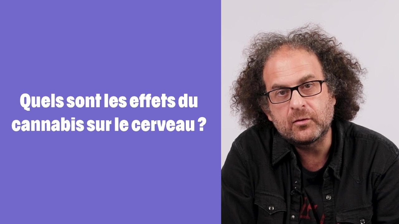 Quels sont les effets du cannabis sur le cerveau ?