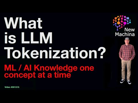 What is LLM Tokenization ?