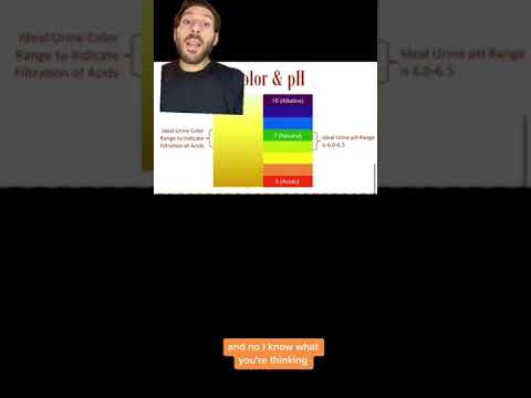 What Does Your Pee Tell You About Your Body?