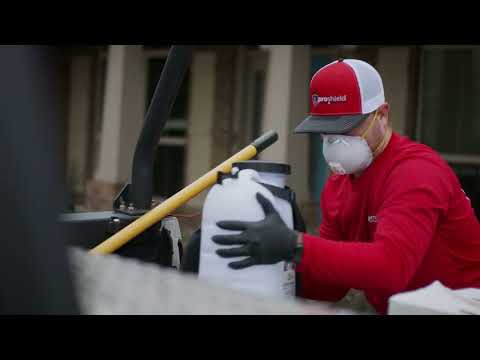 We Are Proshield Pest Control