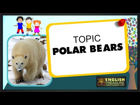 Polar Bears: English Treasure - Vocabulary, Listening, Pronunciation