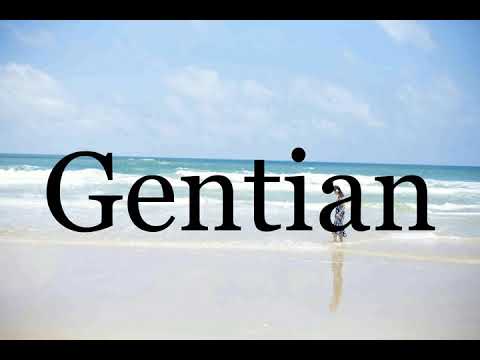 How To Pronounce Gentian๐๐๐๐๐๐Pronunciation Of Gentian