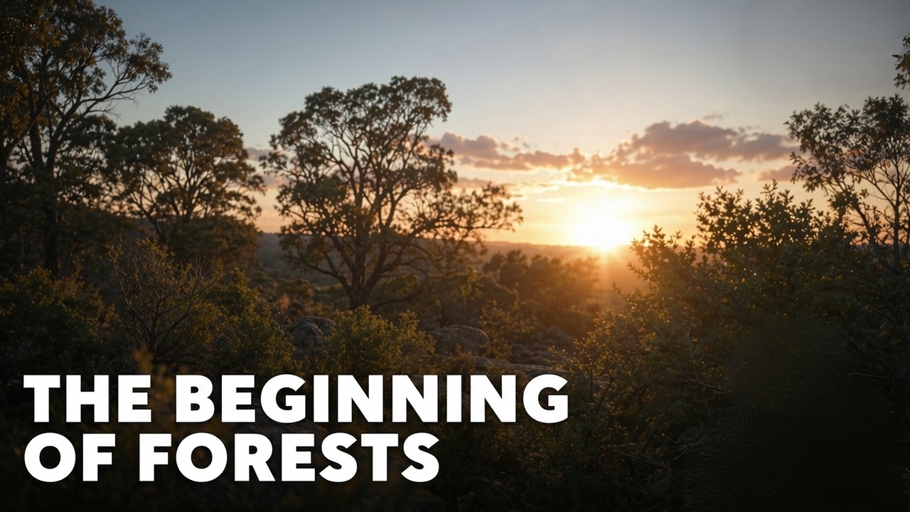 When Trees Took Over the World | Full Documentary