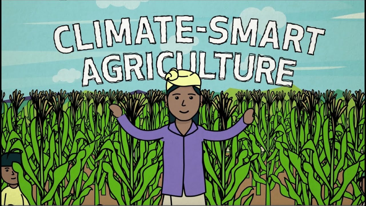 Climate-Smart Agriculture in Action