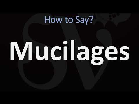 How to Pronounce Mucilages? (CORRECTLY)