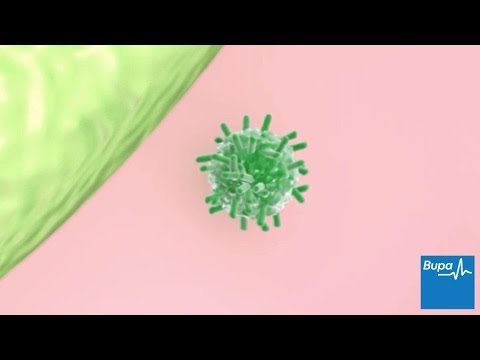 How a common cold develops | Bupa Health