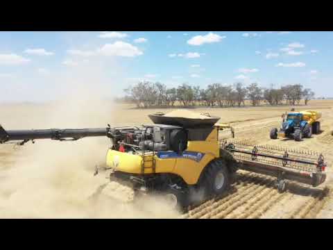 Harvest 2020 Zells Mungindi
