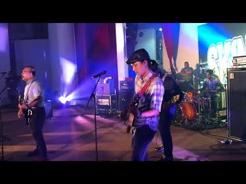 Skinrovers : Boys of Oi!