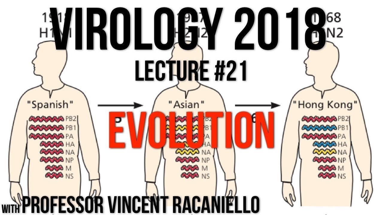 Virology Lectures 2018 #21: Evolution
