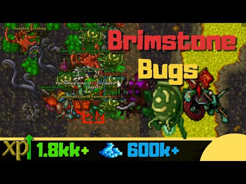 EK 180+ Northen Zao Plantations [Where to hunt Solo knight]