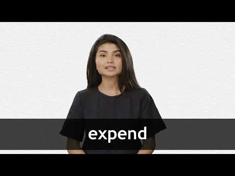 EXPEND definition and meaning | Collins English Dictionary