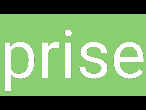 Prise Definition & Meaning