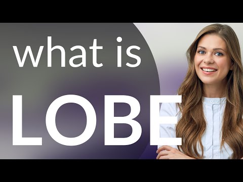 Lobe — what is LOBE definition