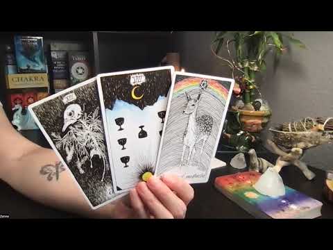 Dog: Sirius Star Blessings
