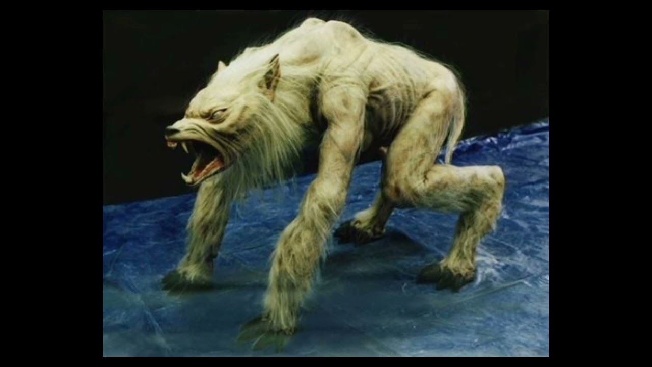 Werewolf (Ginger Snaps 2000) Sounds