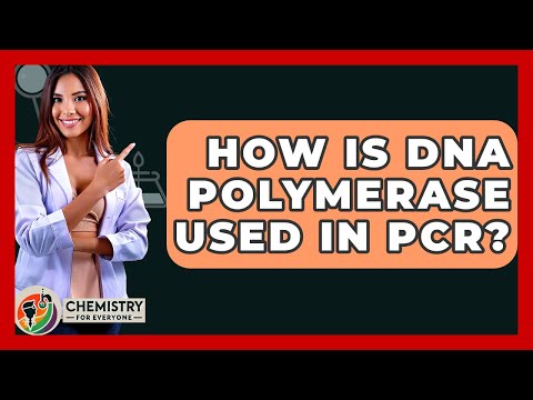 How Is DNA Polymerase Used In PCR? - Chemistry For Everyone