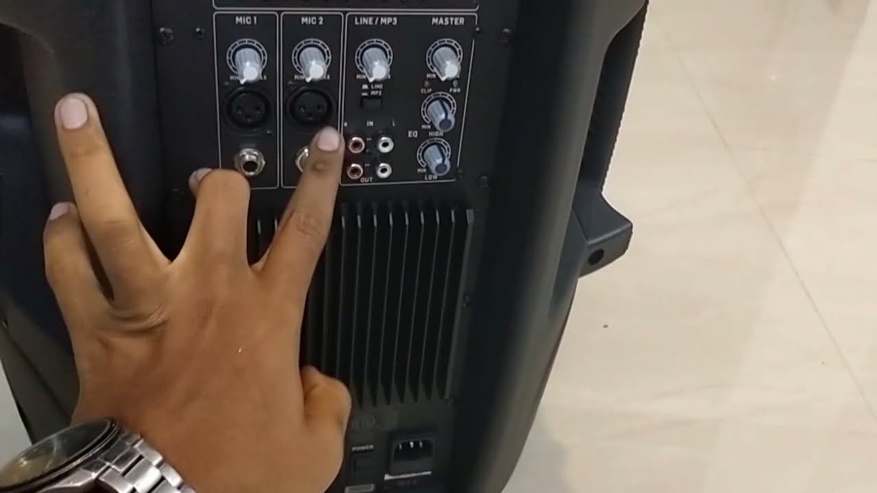 Behringer PK 115A.