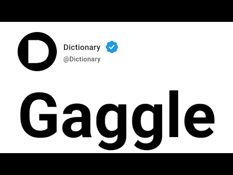 Gaggle Meaning In English