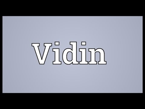 Vidin Meaning