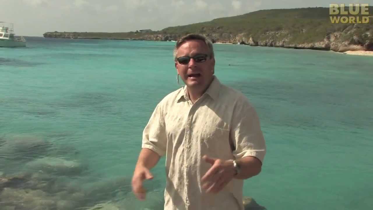 BLUE WORLD TOOLS OF THE TRADE Introduction