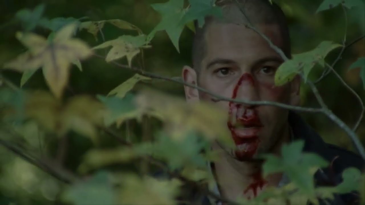 Shane's Plan, The Walking Dead 2x12 