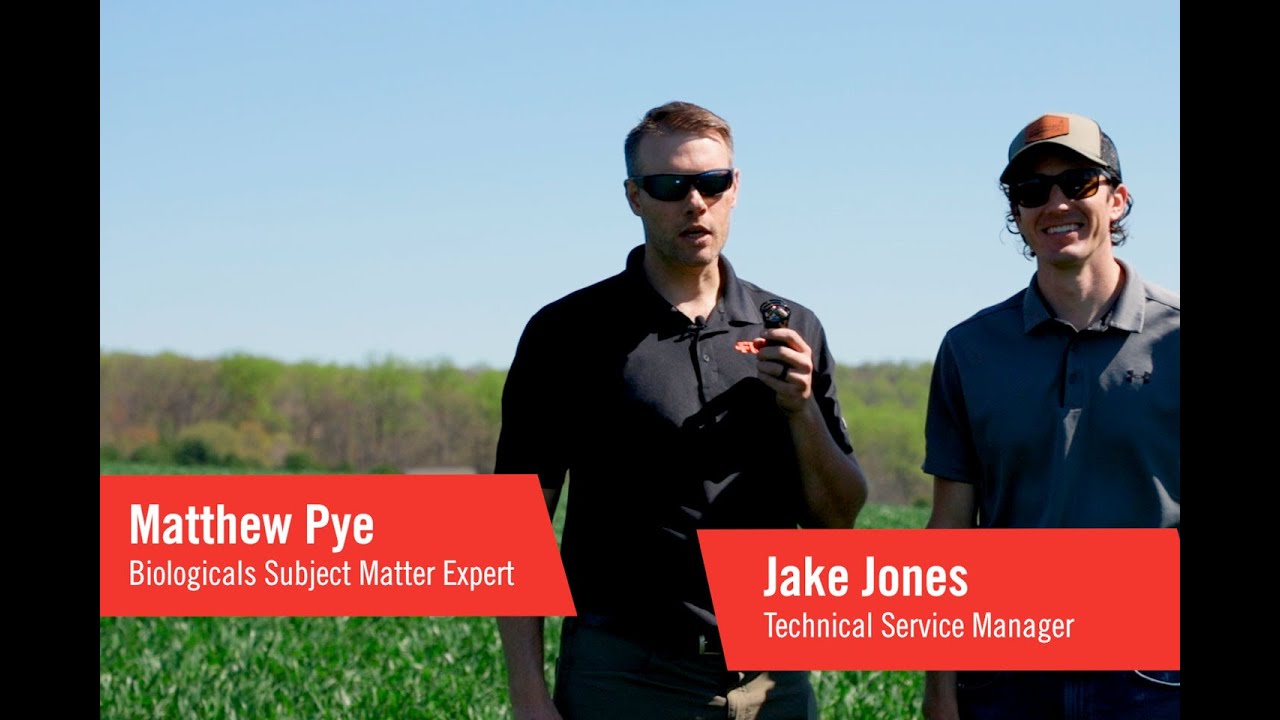 FMC Tech Talk: The FMC Wheat Portfolio