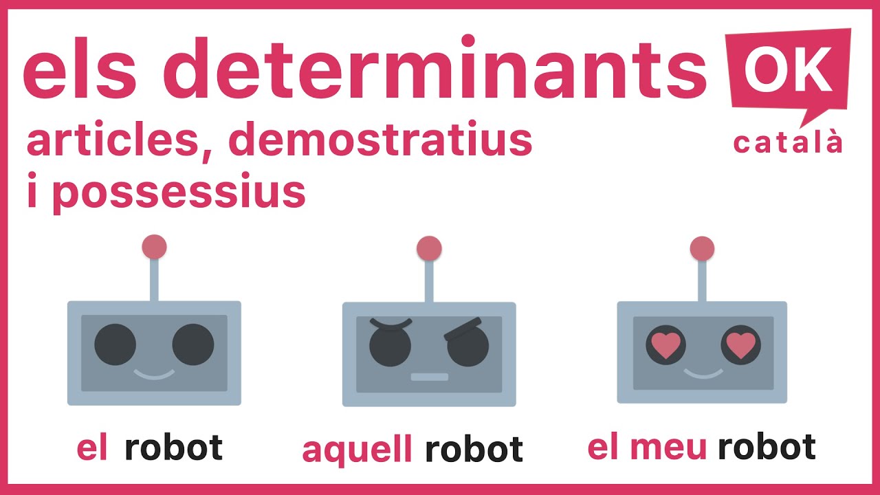 Els determinants en català (1): articles, demostratius i possessius | OK CATALÀ