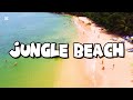Jungle Beach Watch HD Mp4 Video Download Free