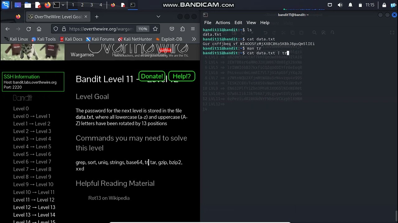 Cracking the Code: OverTheWire Bandit Level 11 Walkthrough (Beginner Friendly)